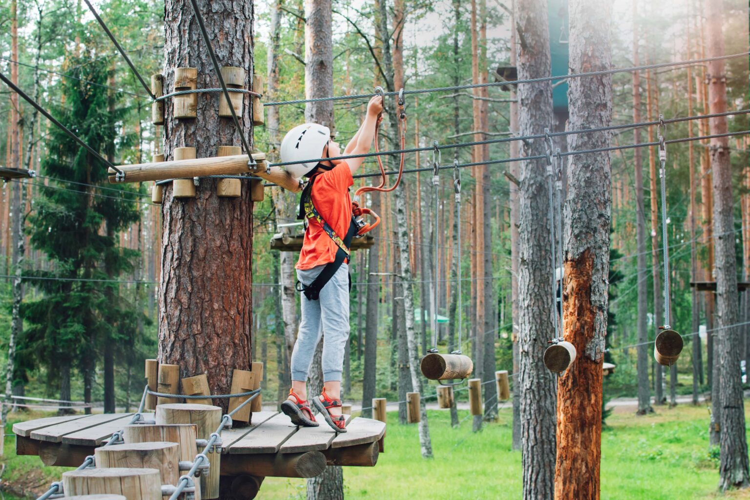 School Bus Hire | School Excursion Bus Hire - Low Cost Bus Charter